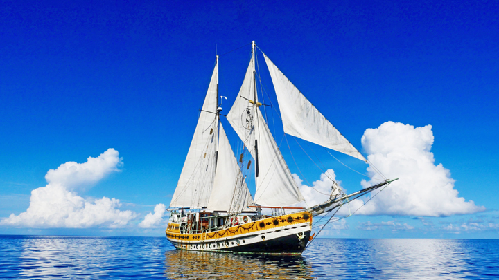 Nova Ruth – Women of the Seven Seas