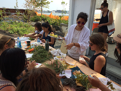 SWALE – Women of the Seven Seas